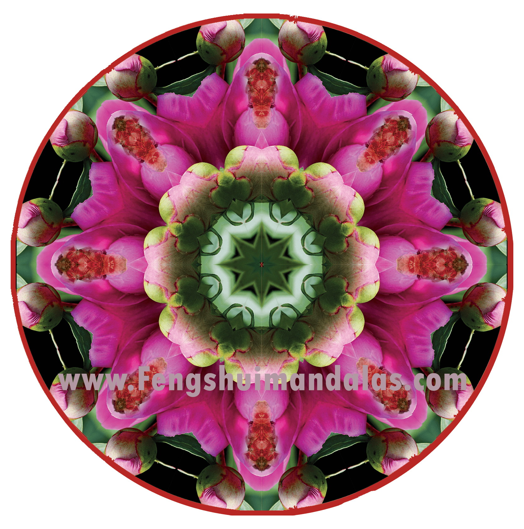 Feng Shui Mandalas