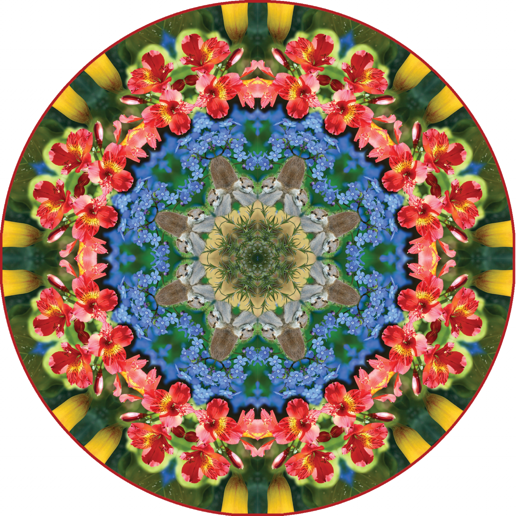 Empathy/Remembrance- Feng Shui Mandalas